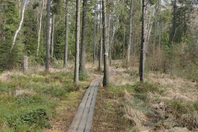 From Gothenburg: Vättlefjäll nature area Half-Day Trip | GetYourGuide