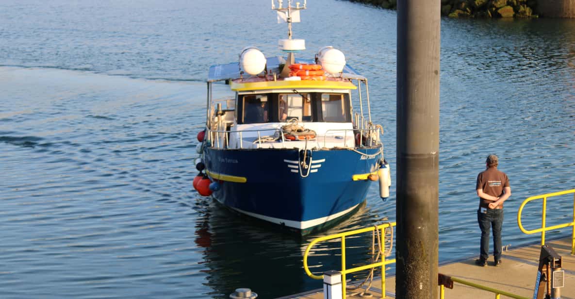 From Howth: Ferry to Dún Laoghaire | GetYourGuide