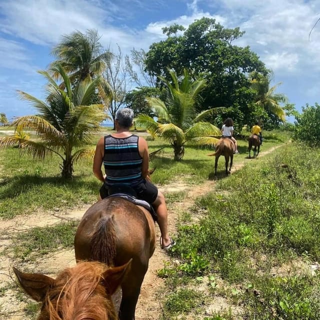 Falmouth/Montego Bay: River Tubing & Beach Ride on Horseback | GetYourGuide