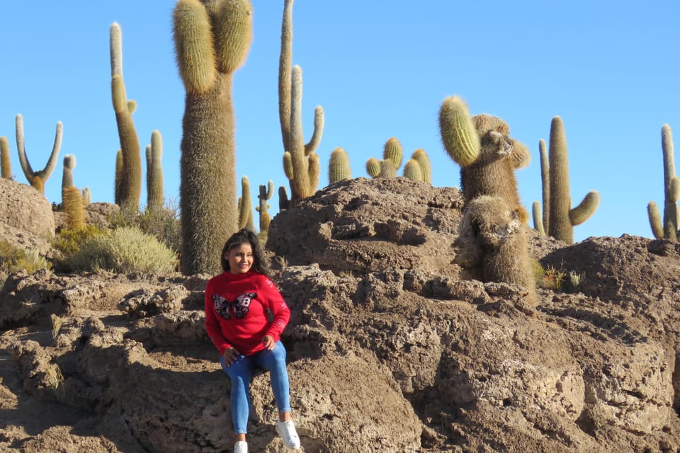 From La Paz: 2-Day Uyuni Salt Flats & Red Lagoon by Flight. | GetYourGuide