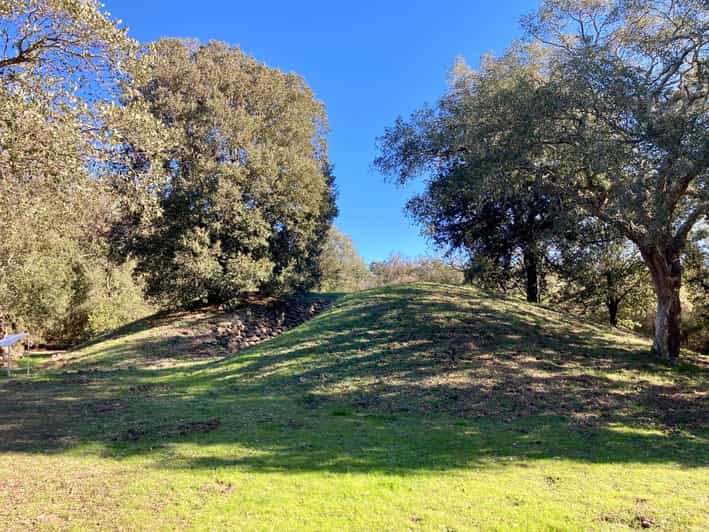 Scarlino: Archeo Hike exploring an Etruscan necropoly | GetYourGuide