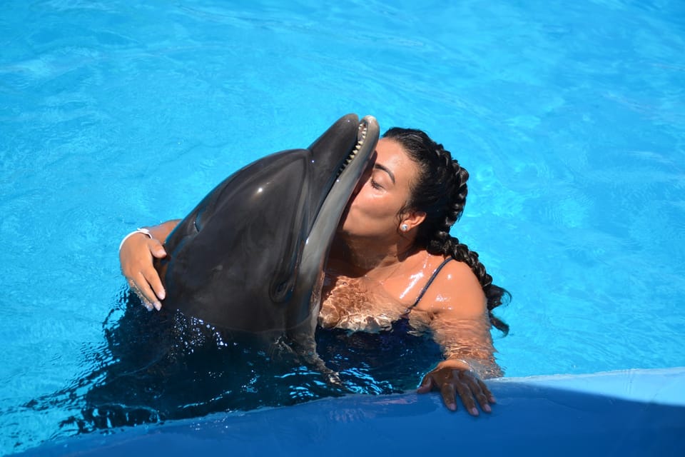 Hurghada: Dolphin World Private Swimming with Transfers | GetYourGuide