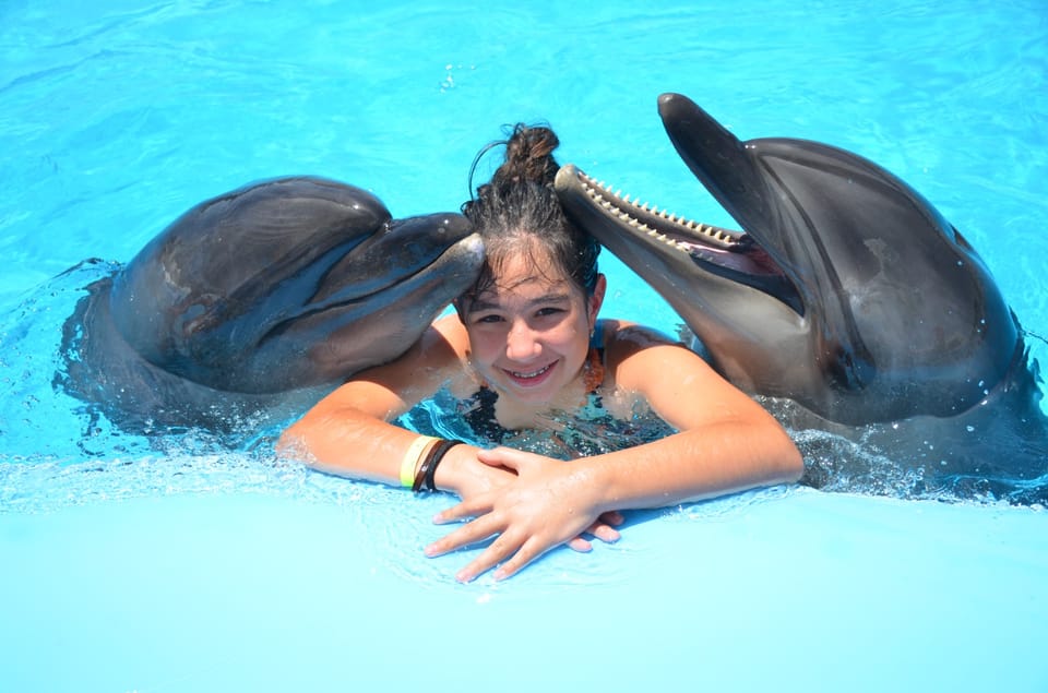Hurghada: Dolphin World Private Swimming with Transfers | GetYourGuide