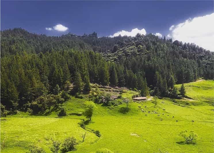 From Bogota: All-Inclusive Half-Day Trip to Neusa Reservoir | GetYourGuide