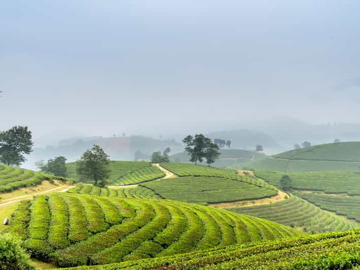 Dalat Countryside Loop Day Tour | GetYourGuide