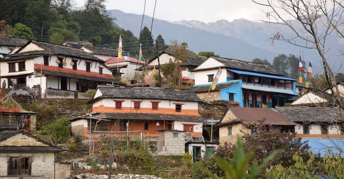 Pokhara: Estancia de una noche en familia en una aldea típica de Lwang | GetYourGuide