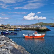 Dublin: Howth Coastal Boat Tour with Ireland's Eye Ferries | GetYourGuide