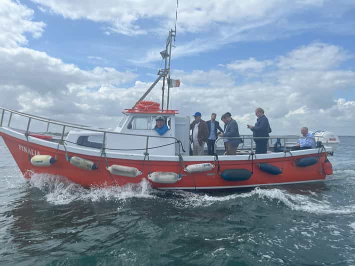 Dublin: Howth Coastal Boat Tour with Ireland's Eye Ferries | GetYourGuide