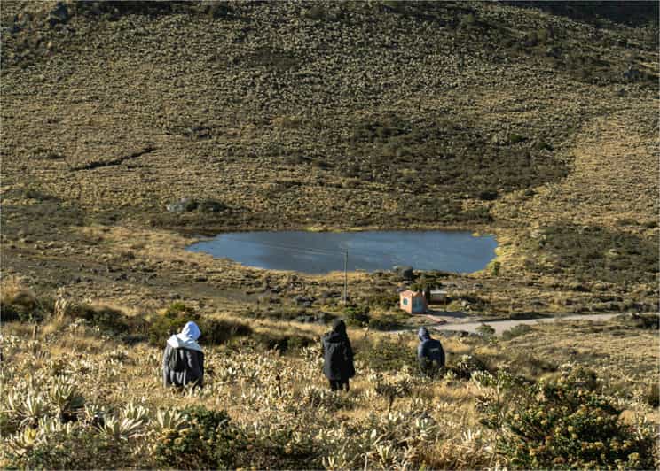 Muisca Yoga and Hike in Neusa Reservoir | GetYourGuide