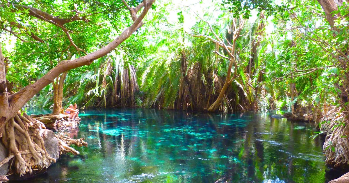 Chemka Hot Springs & Night-life experience in Arusha | GetYourGuide