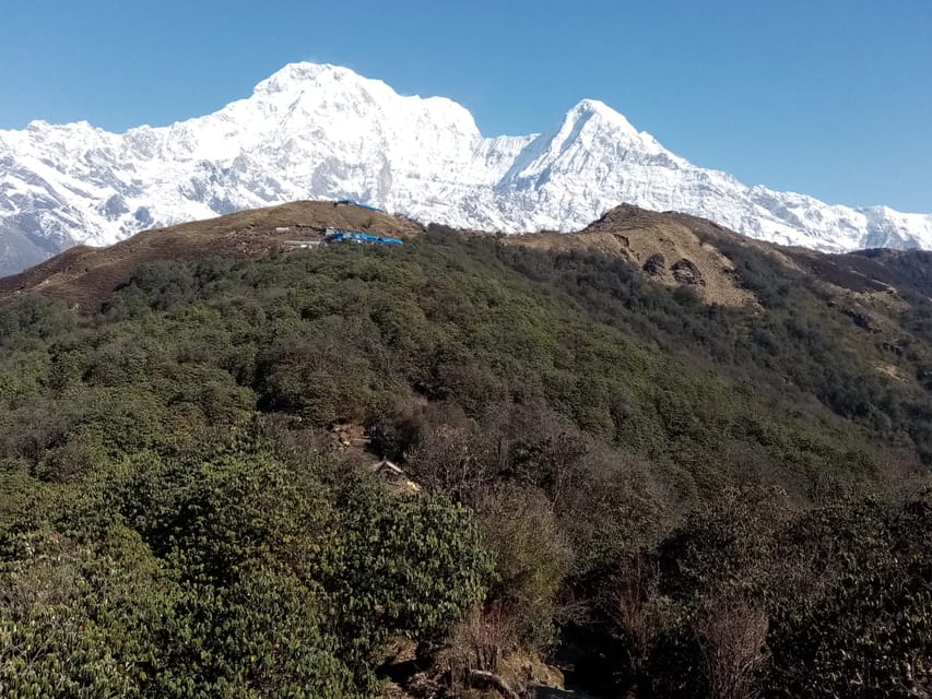 Nepalas: 10 dienų kelionė po Nepalą su žygiu į Mardi Himalą | GetYourGuide