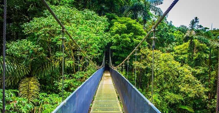 La Fortuna: Arenal Hanging Bridges Tour | GetYourGuide