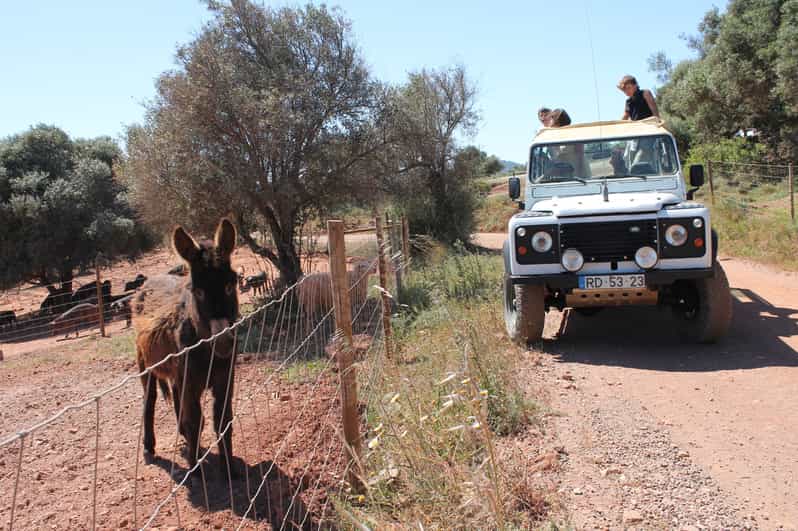 Albufeira: Jeep Safari Halbtagestour durch die Landschaft | GetYourGuide