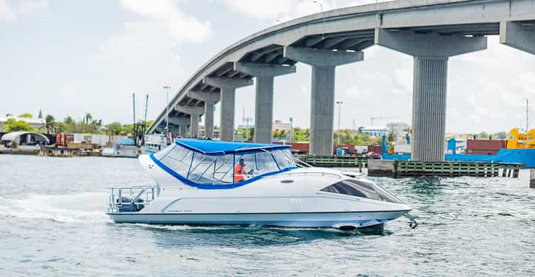 Kreuzfahrtschiff-Reisende Bahamas per Boot Halbunterseeboot Glasbottom ...