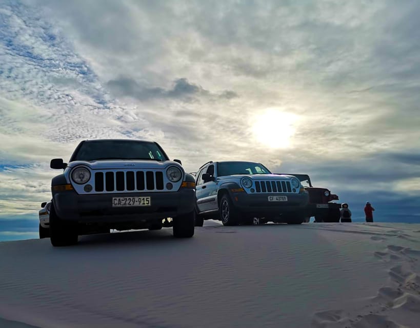 CAPE TOWN: GLAM SANDBOARDING IN ATLANTIS DUNES WITH WILDX | GetYourGuide