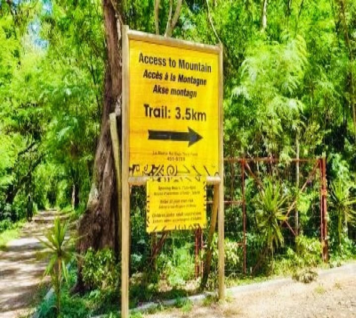 Private Hiking le Morne Mountain & Lunch at Ilot Fourneau | GetYourGuide