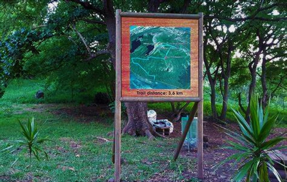 Private Hiking le Morne Mountain & Lunch at Ilot Fourneau | GetYourGuide