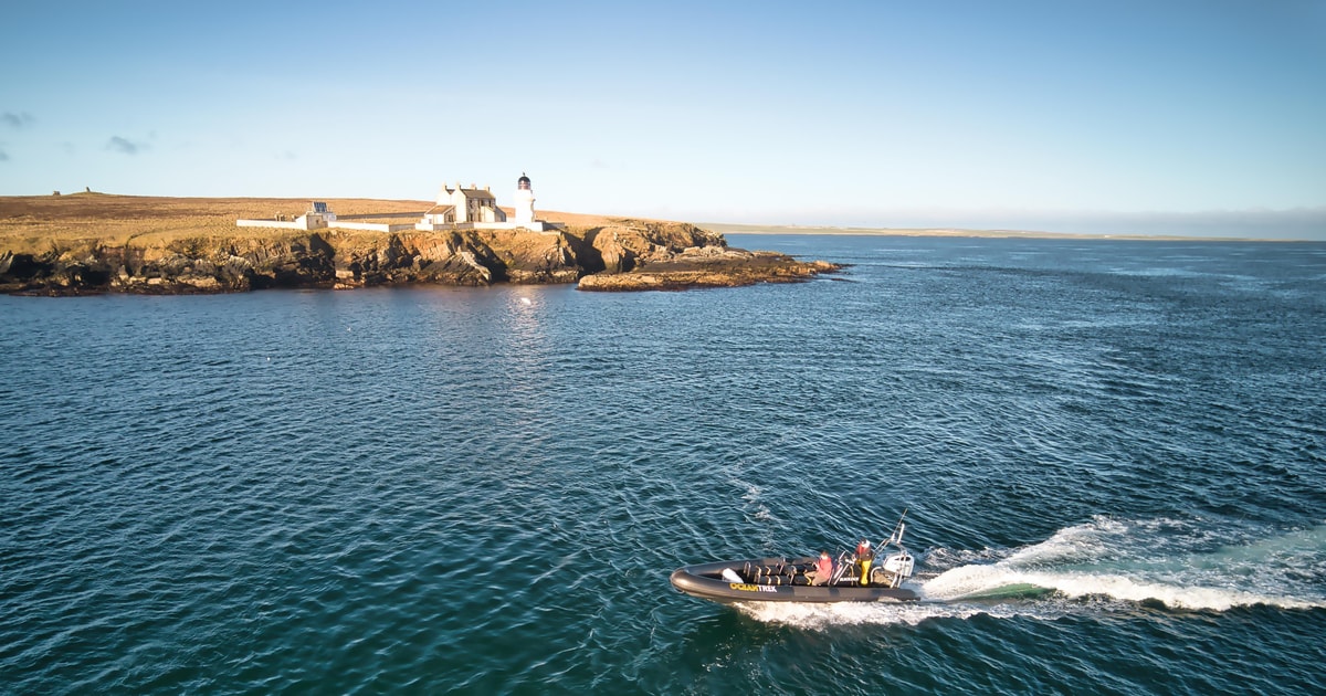 Orkney: 2-Hour Shapinsay Island Speedboat Tour | GetYourGuide