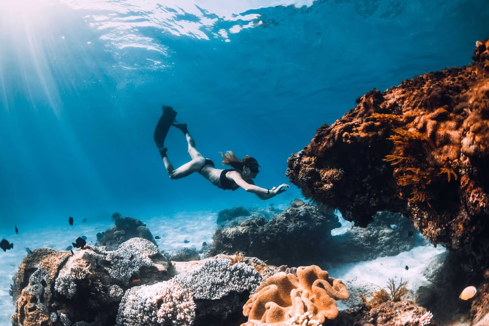 Split: Blå lagunen och Šolta båttur med lunch och drycker | GetYourGuide