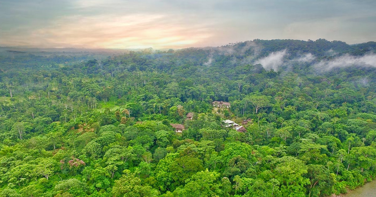 3 Days Discover The Ecuadorian Amazon (Tour From Quito) | GetYourGuide