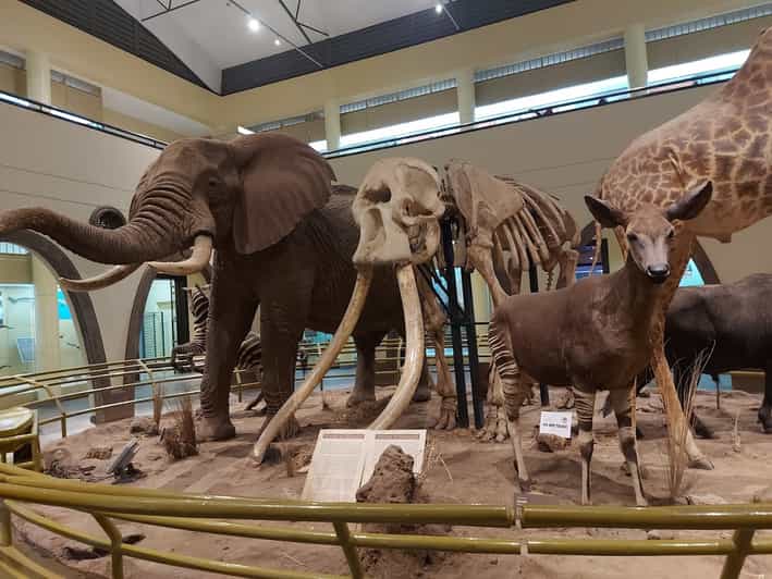 Nairobi: Museum,snake park, Giraffe Center& Beads factory | GetYourGuide