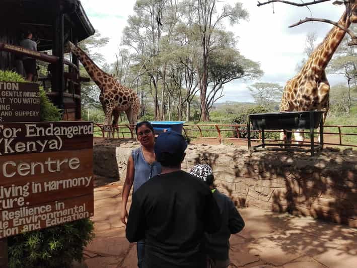 Nairobi: Museum,snake park, Giraffe Center& Beads factory | GetYourGuide