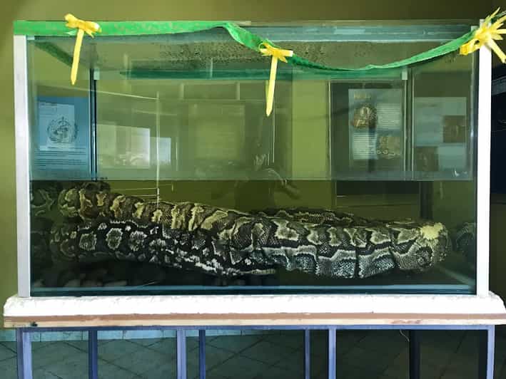 Nairobi: Museum,snake park, Giraffe Center& Beads factory | GetYourGuide