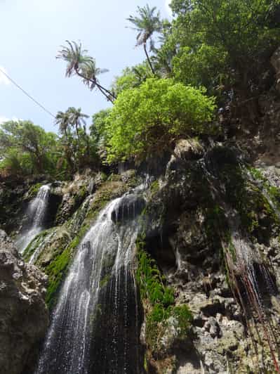 Lake Natron: Ngare Sero Waterfall | GetYourGuide