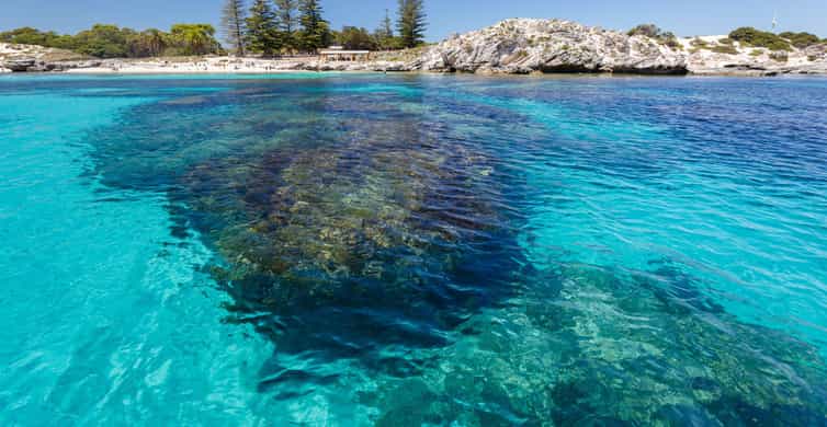 From Fremantle: Return Rottnest Island Ferry Ticket | GetYourGuide