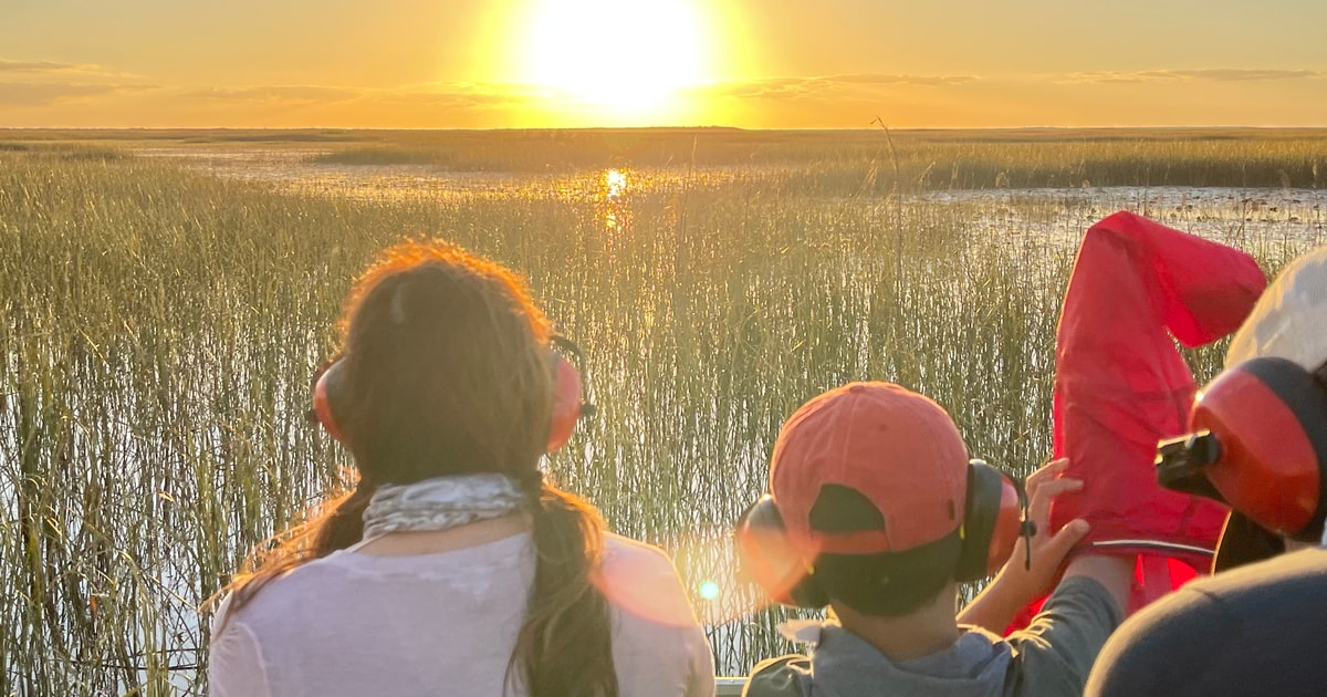 Everglades: Summer Sunset Tour on Small Private Airboat | GetYourGuide