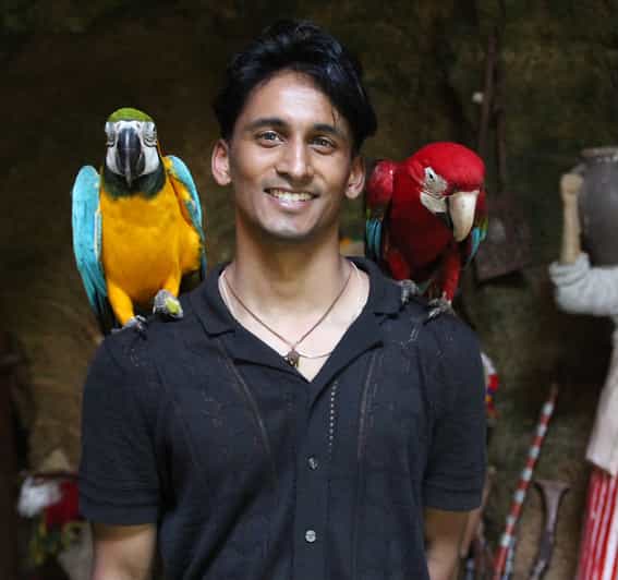 Tanger: Achakar Beach Sunset Camel Ride & Marokkaans diner | GetYourGuide