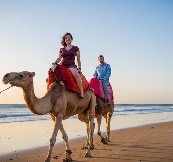 Tanger: Achakar Beach Sunset Camel Ride & Marokkaans diner | GetYourGuide