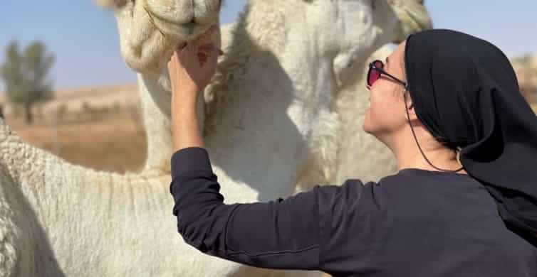 From Riyadh: Tuwaiq Mountain and Old Camel Tracks Day Trip | GetYourGuide