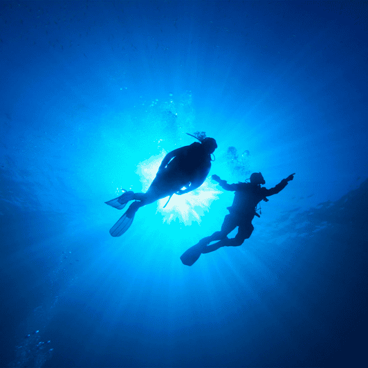 Antalya Suba Diving Tour - Discover the Underwater Wonders | GetYourGuide