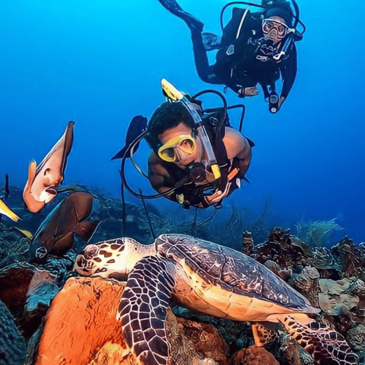 Antalya Suba Diving Tour - Discover the Underwater Wonders | GetYourGuide