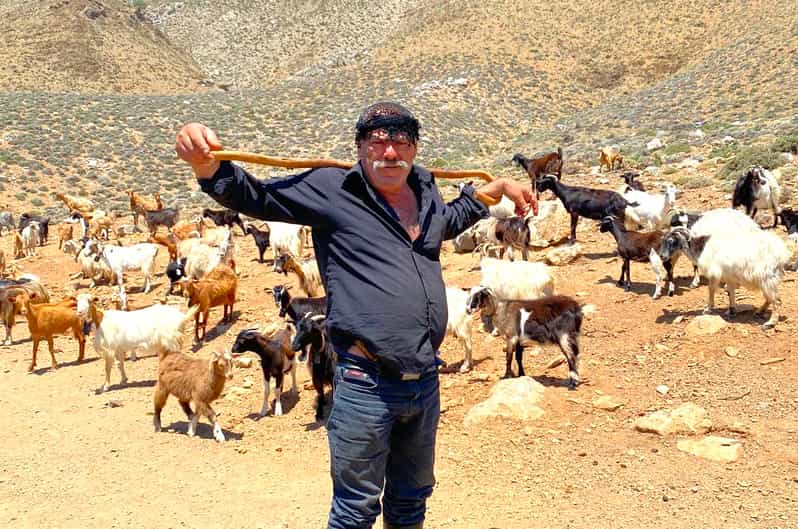 Crete: Jeep Safari, Mountains, Goat-Keeping & Cheese Making | GetYourGuide