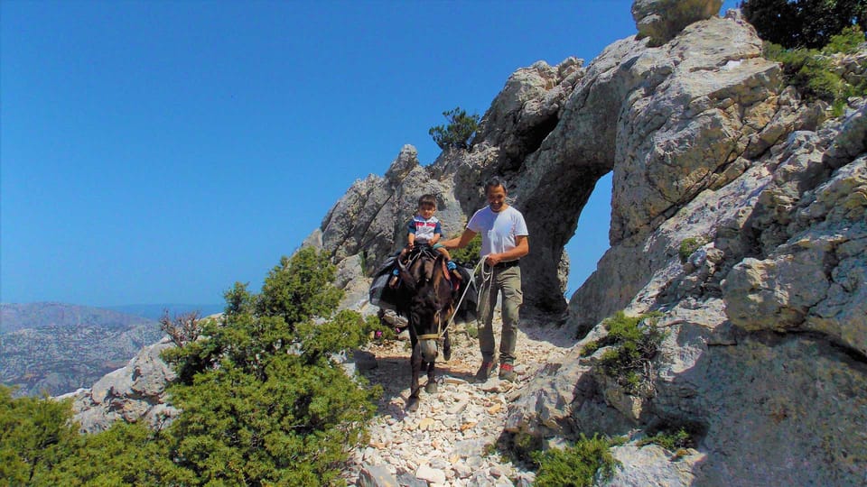 Donkey walk in Suttaterra forest from Dorgali | GetYourGuide
