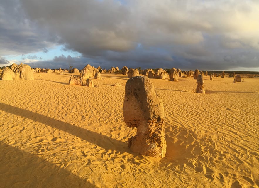 Perth: Pinnacles Desert Bush Walk Guided Tour with Lunch | GetYourGuide