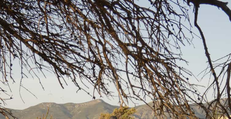 Mastihari: Kos Hiking and Hidden Legends Day Trip | GetYourGuide