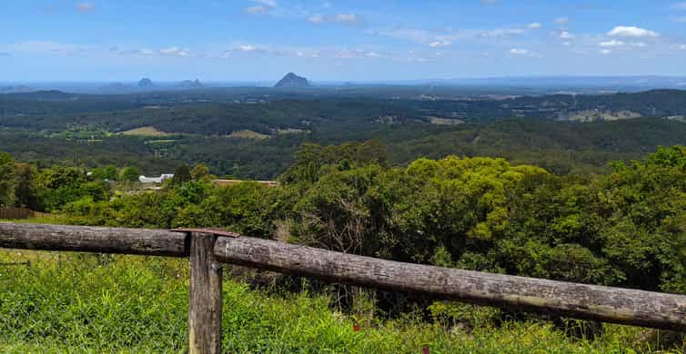 From Brisbane: Day Trip to Noosa, Glass House Mtns and Zoo | GetYourGuide