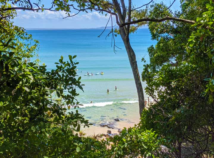 From Brisbane: Day Trip to Noosa, Glass House Mtns and Zoo | GetYourGuide