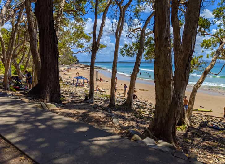 From Brisbane: Day Trip to Noosa, Glass House Mtns and Zoo | GetYourGuide