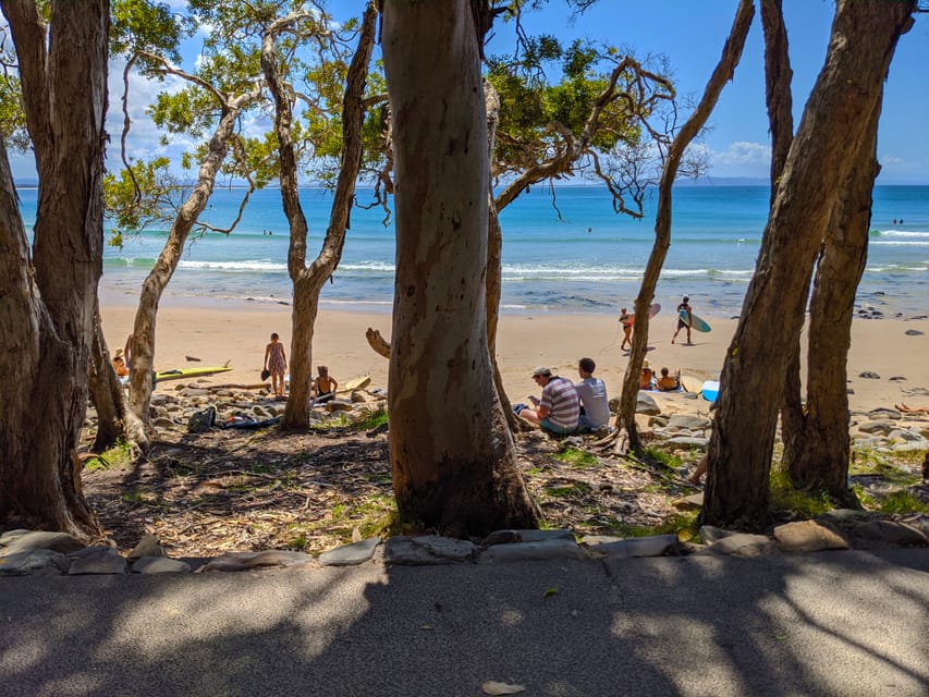 From Brisbane: Day Trip to Noosa, Glass House Mtns and Zoo | GetYourGuide