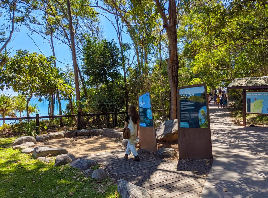 Desde Brisbane: Excursión de un día a Noosa, Glass House Mtns y Zoo ...