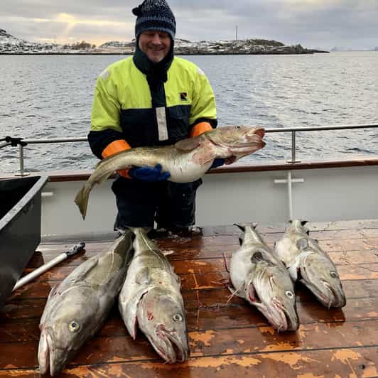 From Tromsø: 3 Day Cod Fishing Tour | GetYourGuide