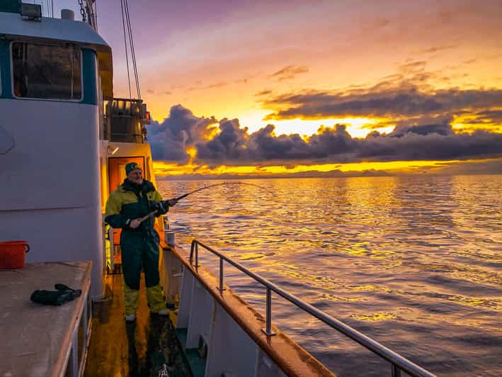 From Tromsø: 3 Day Cod Fishing Tour | GetYourGuide