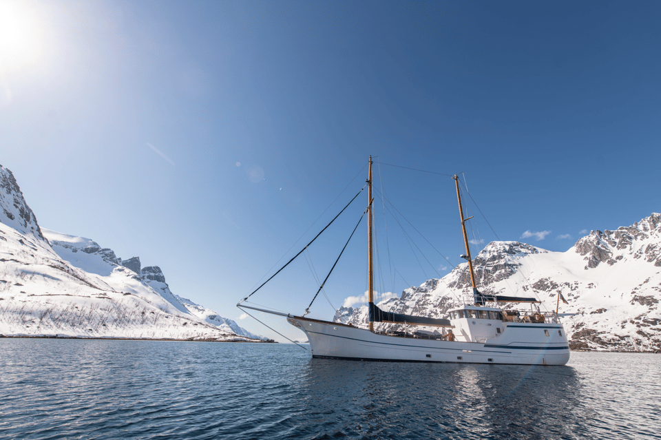 From Tromsø: 3 Day Cod Fishing Tour | GetYourGuide