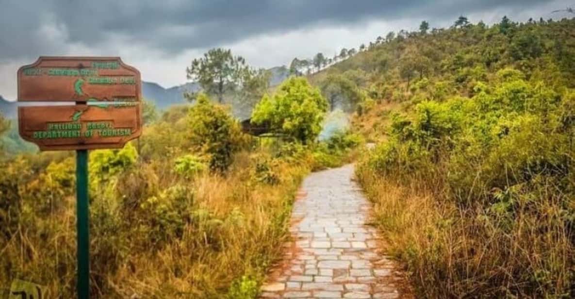 1 Day Champadevi Hike | GetYourGuide