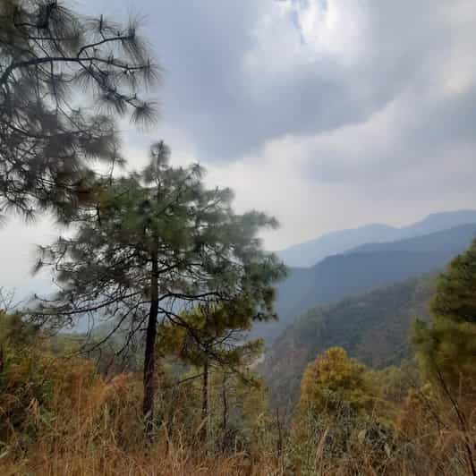1 Day Champadevi Hike | GetYourGuide