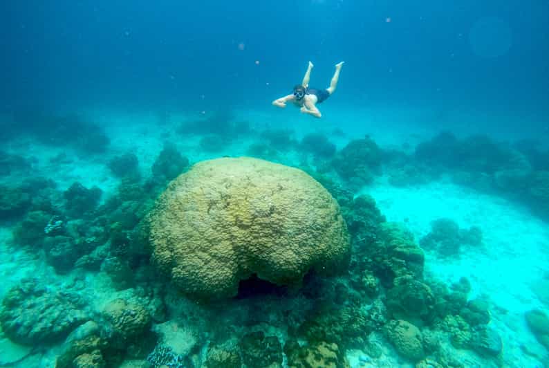 Lanta: Koh Rok & Koh Haa Snorkel- och strandtur med motorbåt | GetYourGuide
